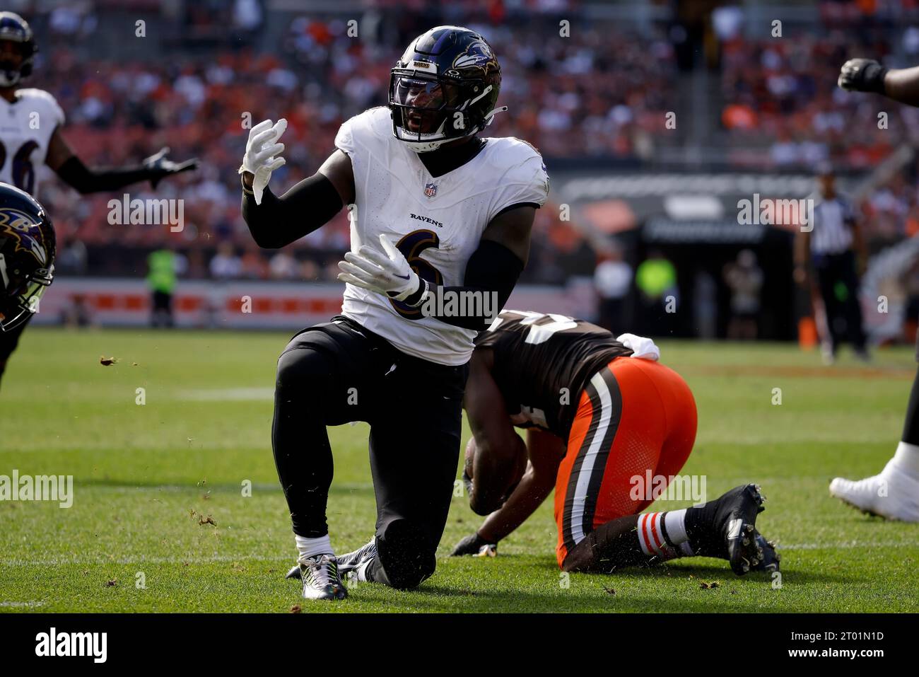 Baltimore Ravens inside linebacker Patrick Queen (6) reacts after being ...