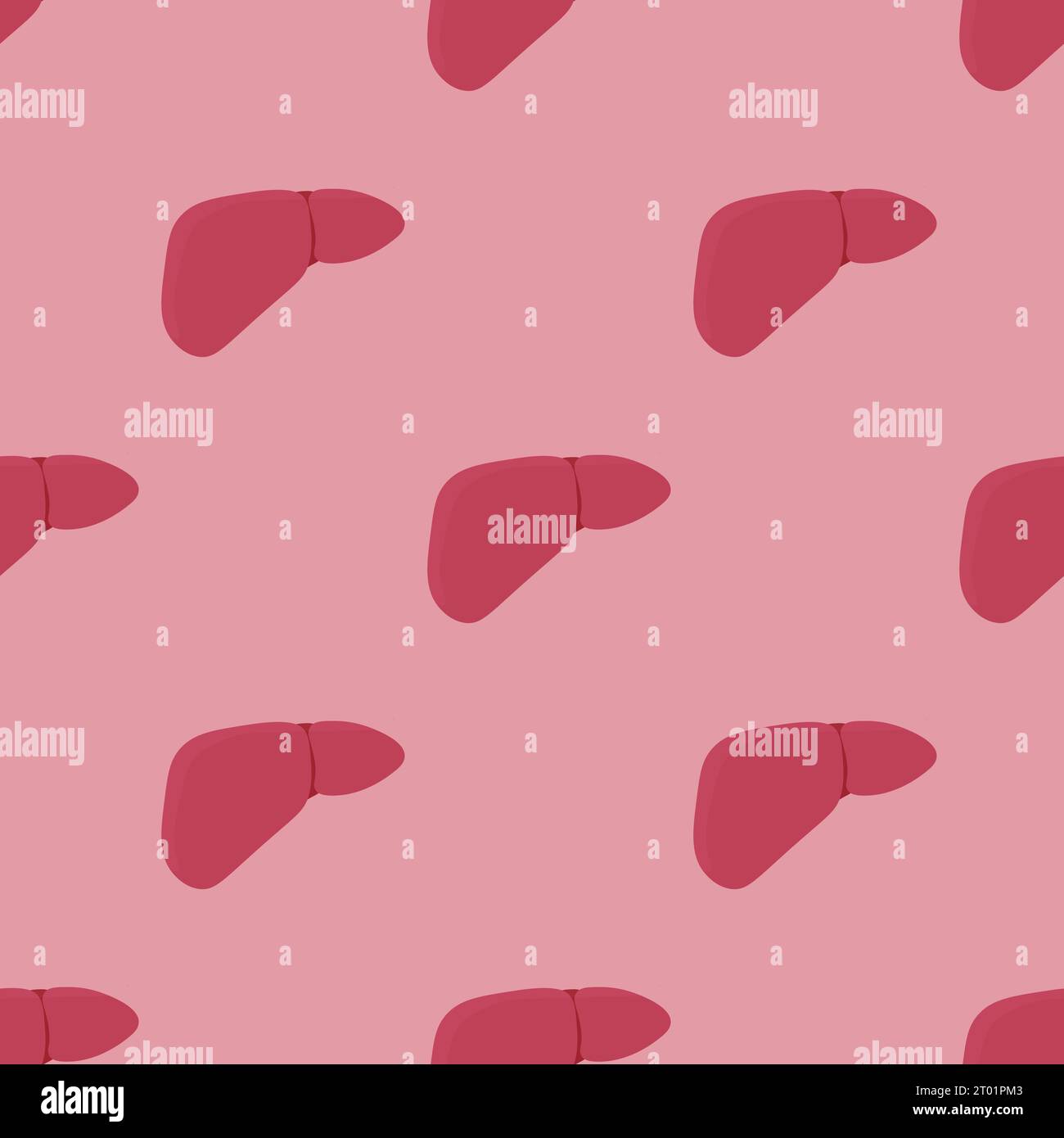 Seamless Pattern Organ Liver On White Background Vector Illustration Anatomy Human Stock