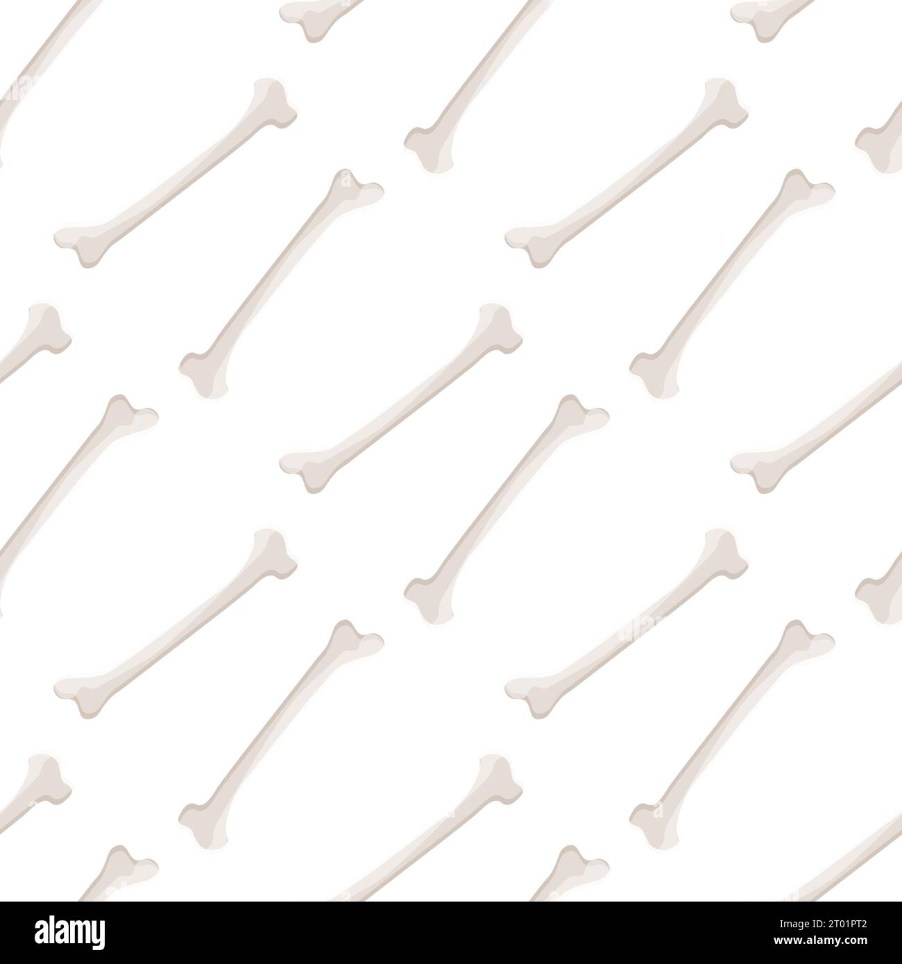 Seamless pattern organ bone on white background. Vector Illustration ...
