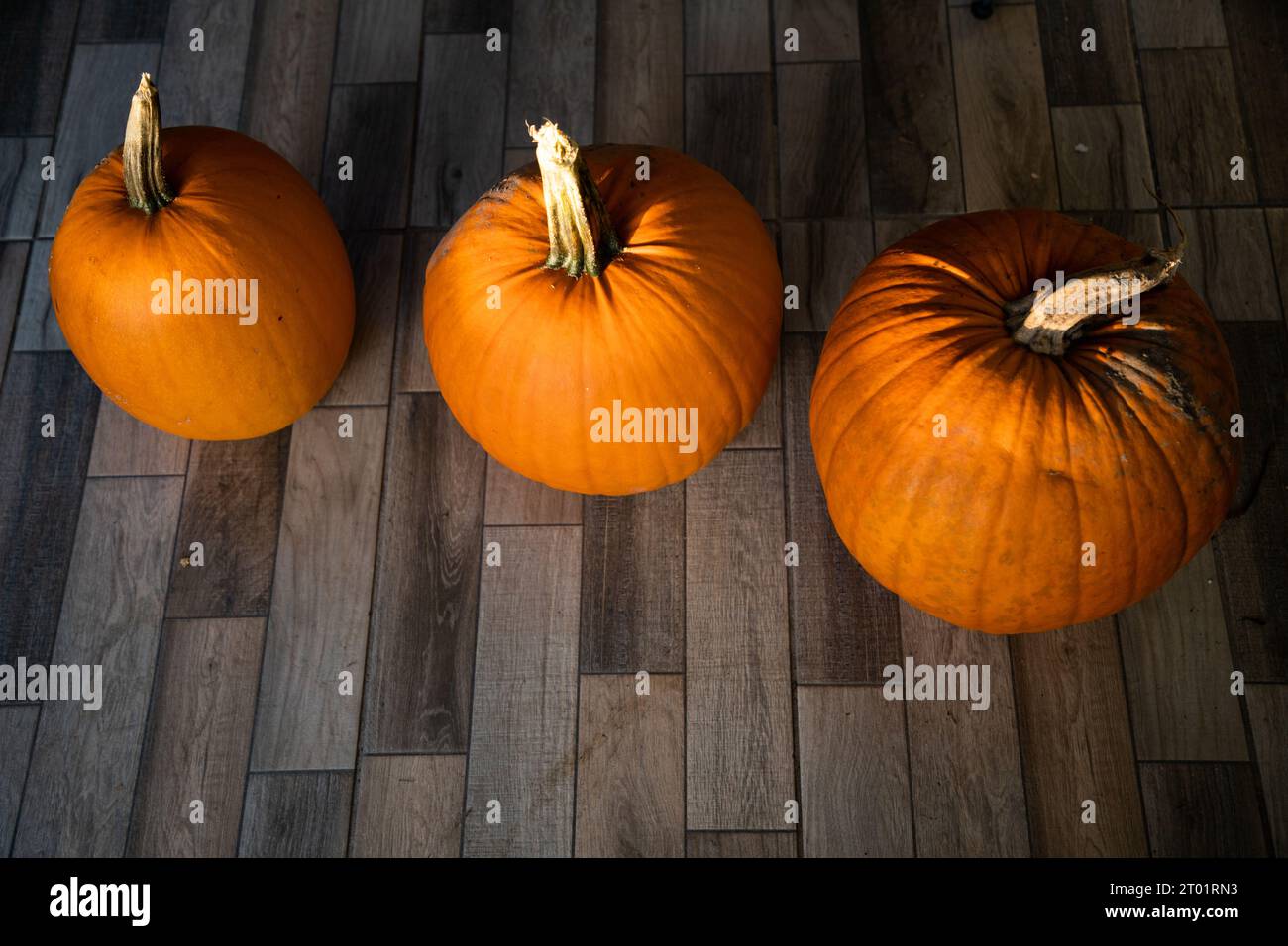 halloween pumpkins ready for carving Stock Photo - Alamy