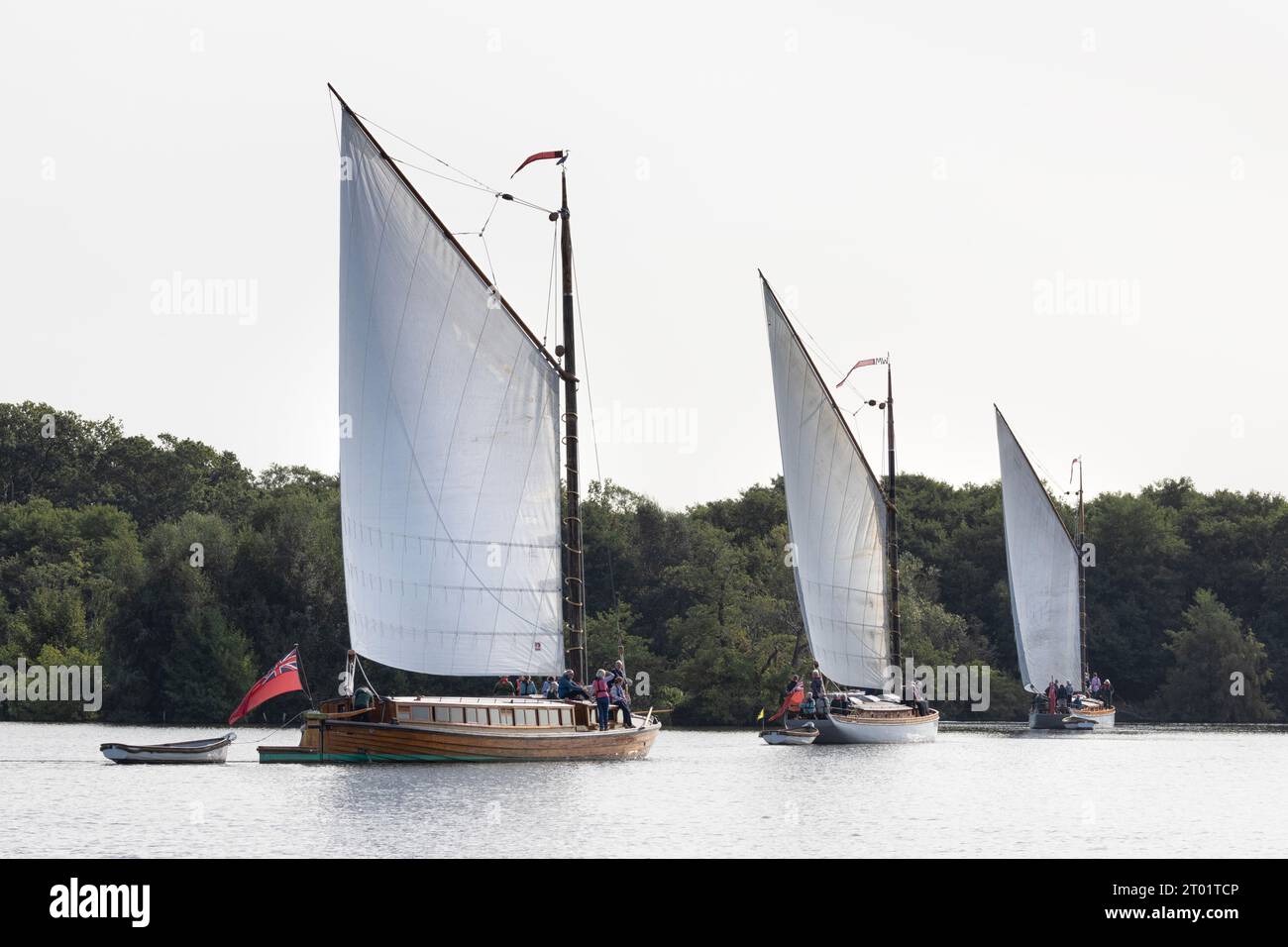 Famous Norfolk Wherries sailing on the River Bure, Norfolk Broads, East ...