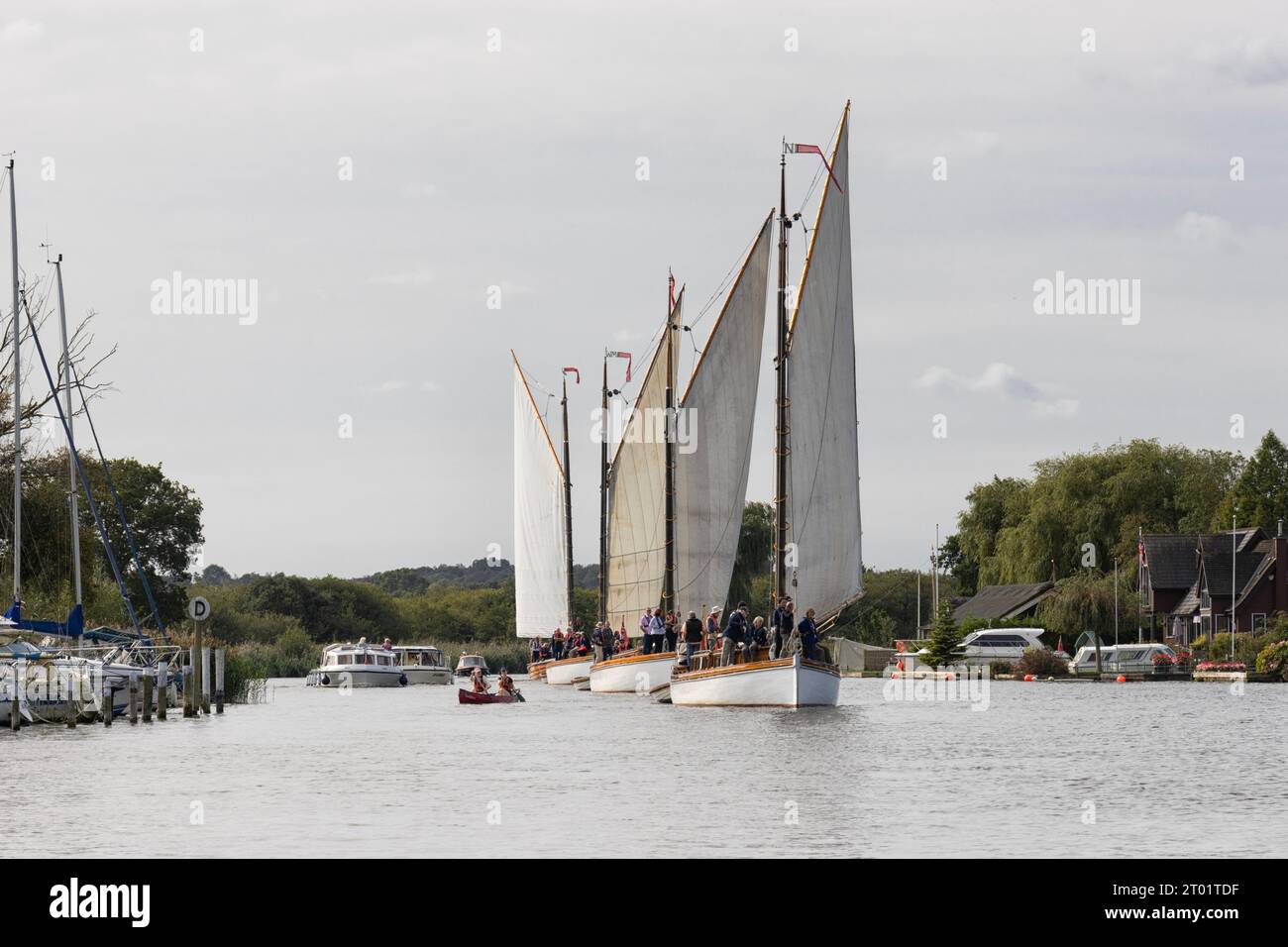 Famous Norfolk Wherries sailing on the River Bure, Norfolk Broads, East ...