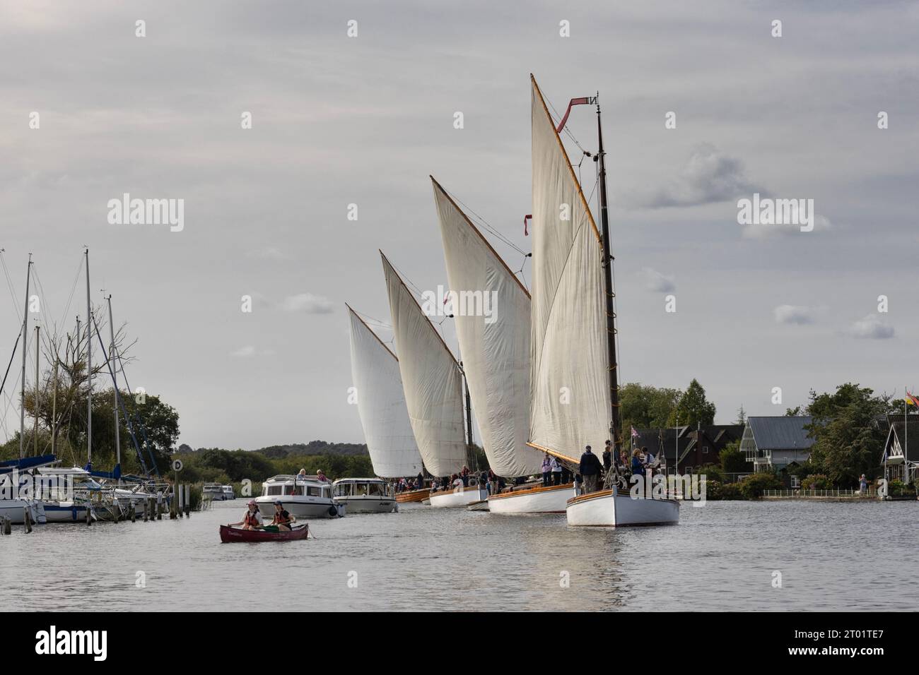 White moth wherry yacht sailing hi-res stock photography and images - Alamy