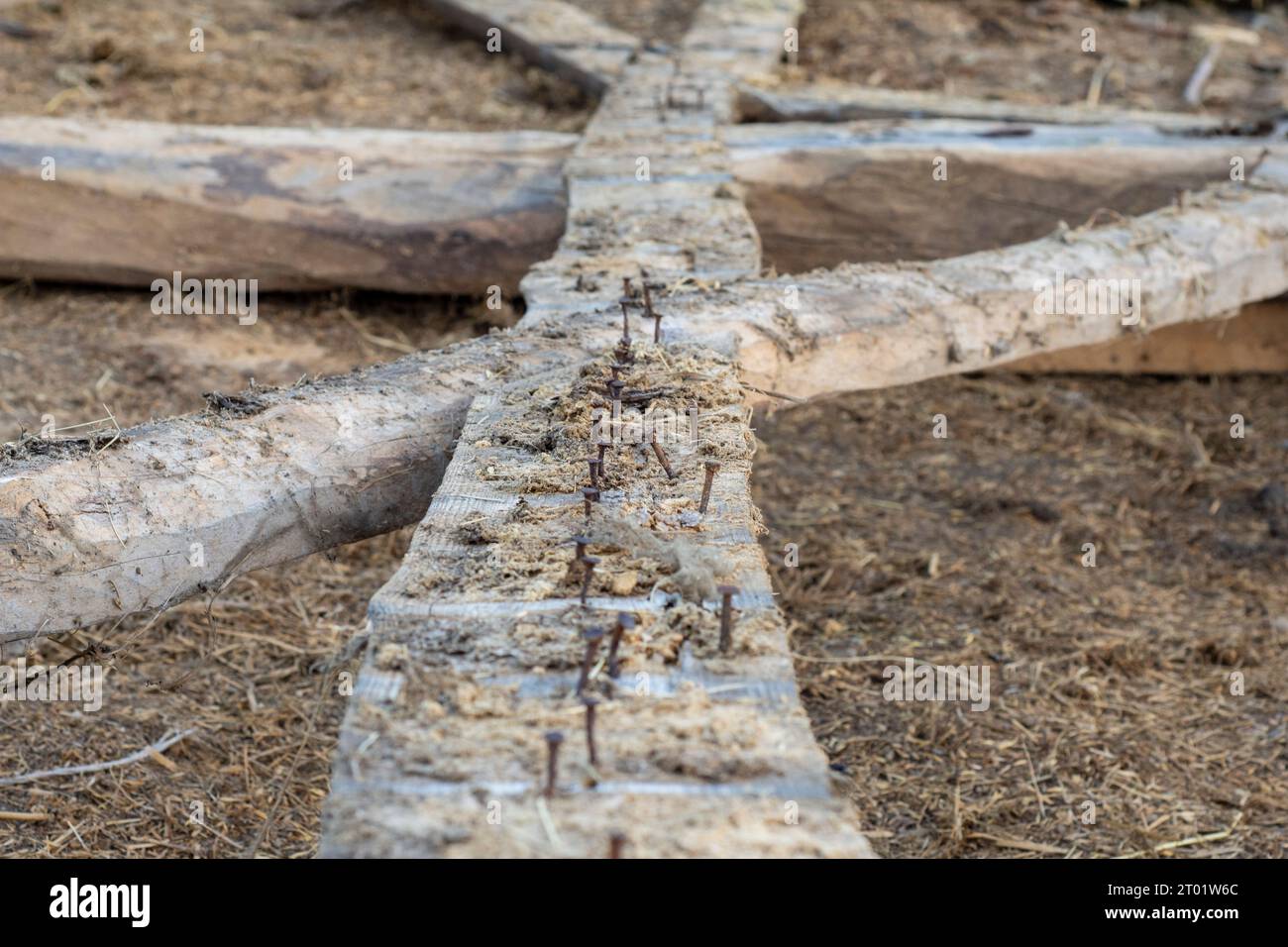 Old, damaged wooden beams lie with rusty nails stuck in after the ...