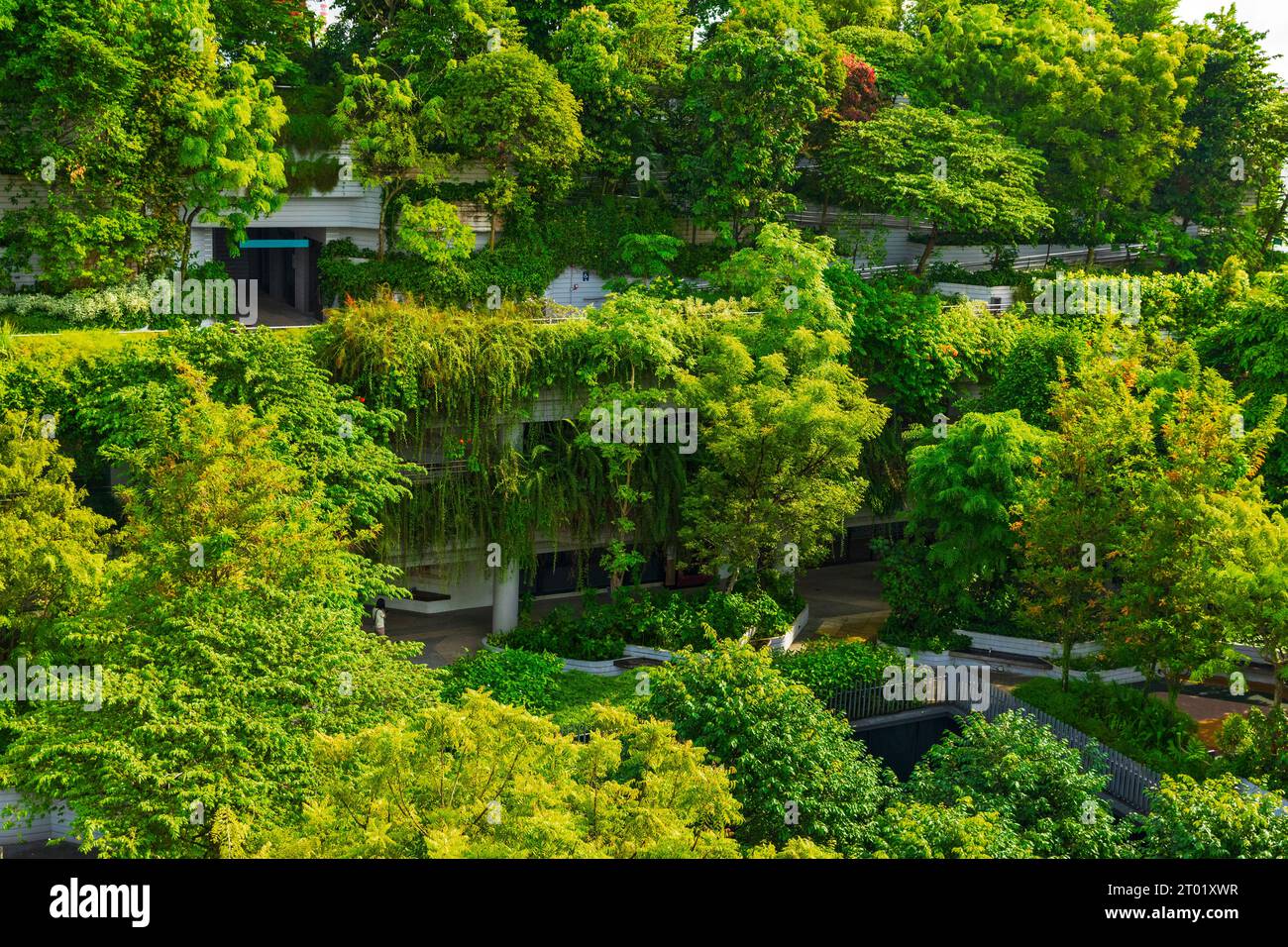Kampung Admiralty is an 11-story public housing complex in Singapore ...