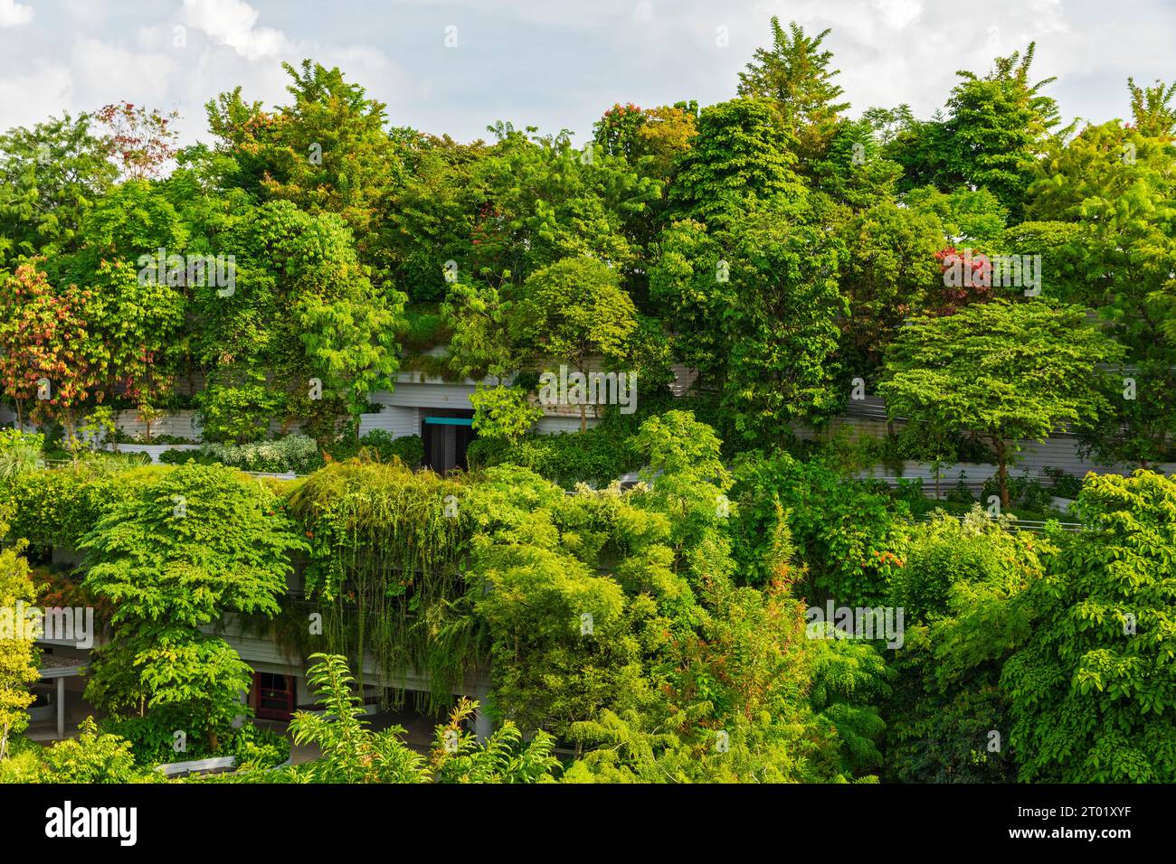 Kampung Admiralty is an 11-story public housing complex in Singapore ...