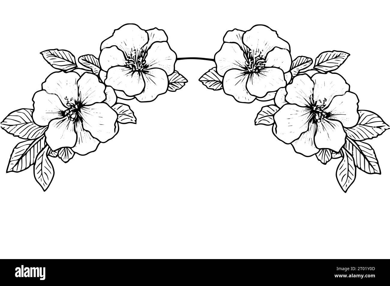 Hibiscus Flower Border