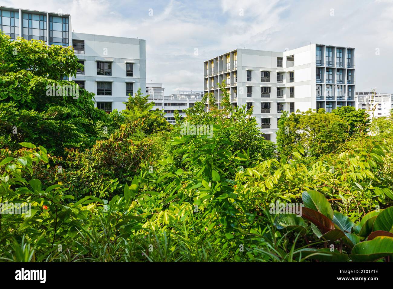Kampung Admiralty is an 11-story public housing complex in Singapore ...