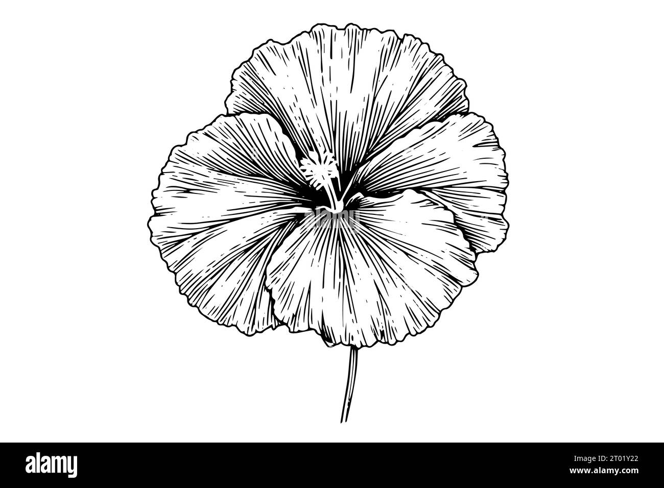 Hibiscus flower hand drawn ink sketch. Engraved style vector ...