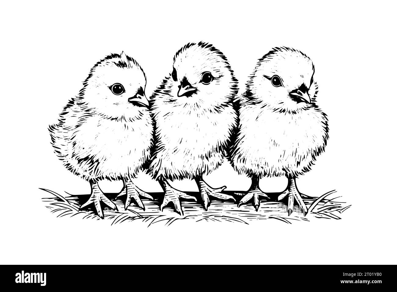Cute little chicken hand drawn ink sketch. Engraved style retro vector ...