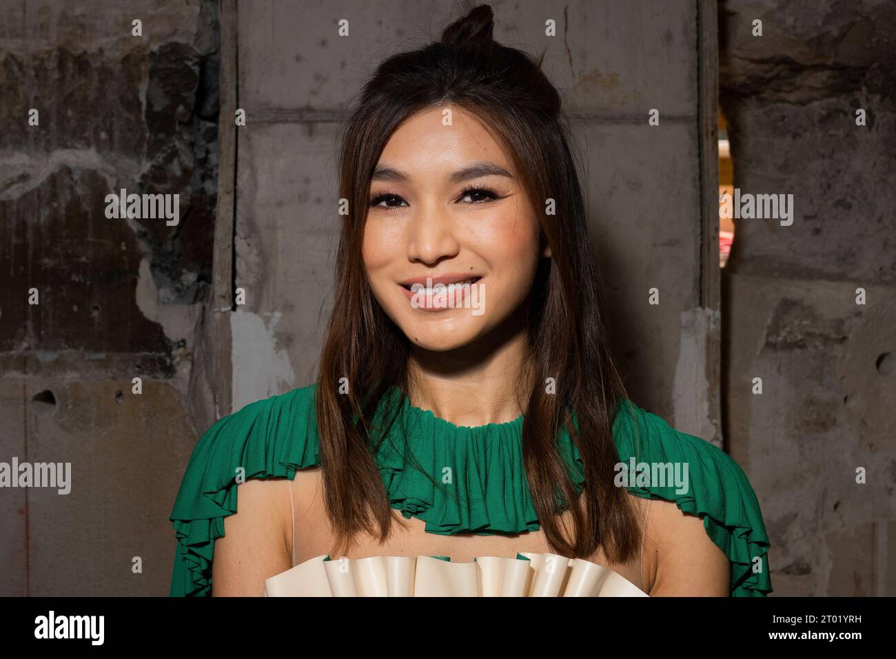 Gemma Chan attends the Louis Vuitton Spring/Summer 2024 womenswear ...