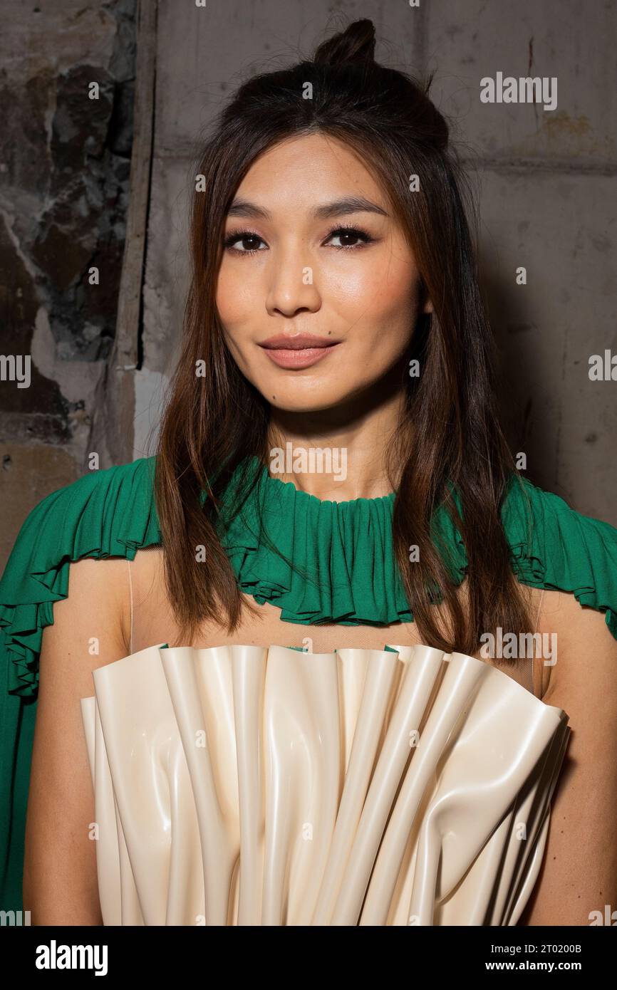 Gemma Chan attends the Louis Vuitton Spring/Summer 2024 womenswear ...