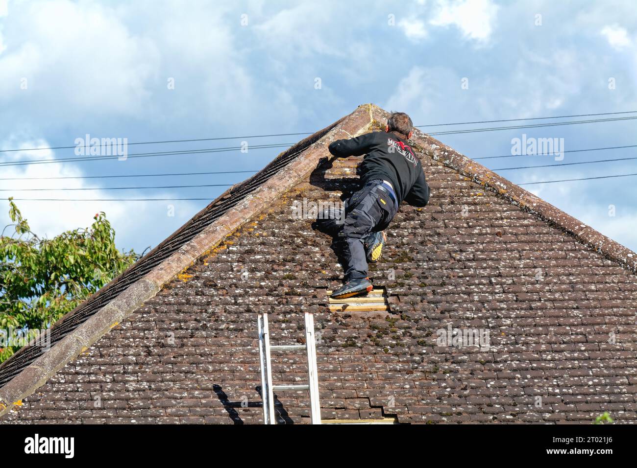 A builder clearing a tiled pitched roof of accumulated debris on a ...