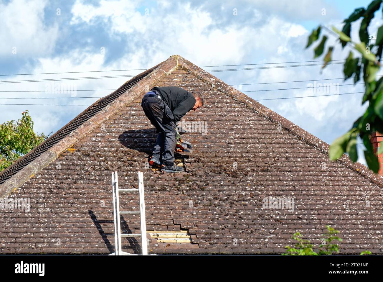 A builder clearing a tiled pitched roof of accumulated debris on a ...