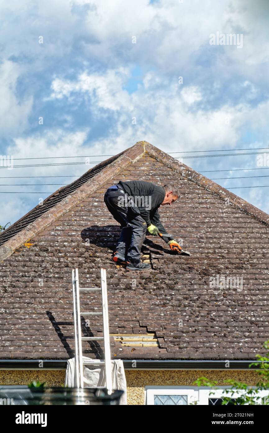 A builder clearing a tiled pitched roof of accumulated debris on a ...