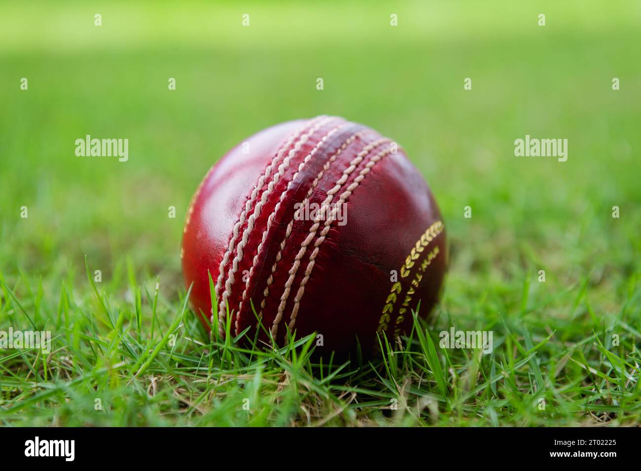 Cricket balls on playing field Stock Photo - Alamy