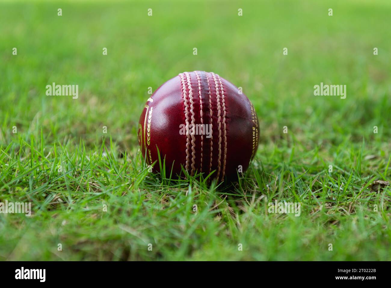 Test cricket bat hi-res stock photography and images - Alamy