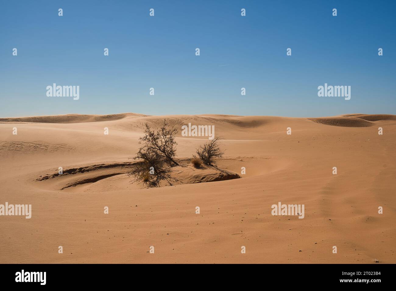 Little sahara state park hi-res stock photography and images - Alamy