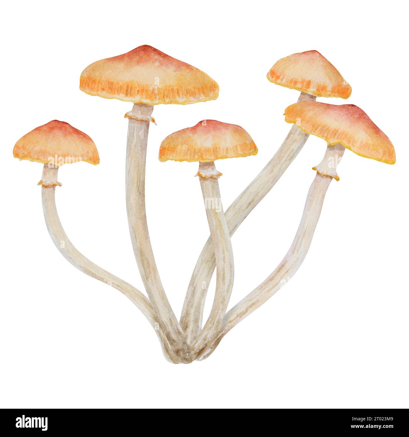 Realistic tales hi-res stock photography and images - Alamy