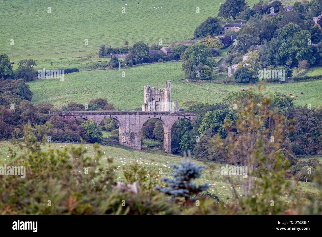 View of the ruins of Edlingham Castle from across the valley, in ...