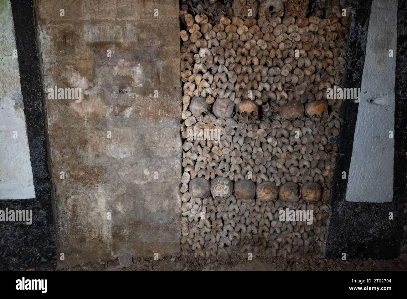 Squelette anatomie hi-res stock photography and images - Alamy