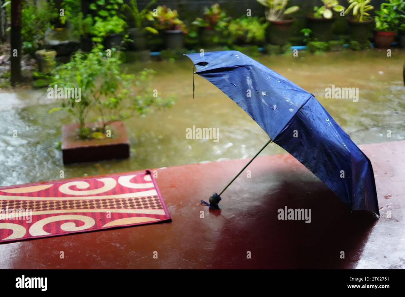 Thulasi thara hi-res stock photography and images - Alamy