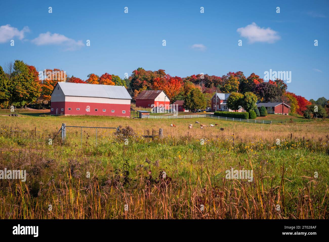 Old quebec farm house hi-res stock photography and images - Alamy