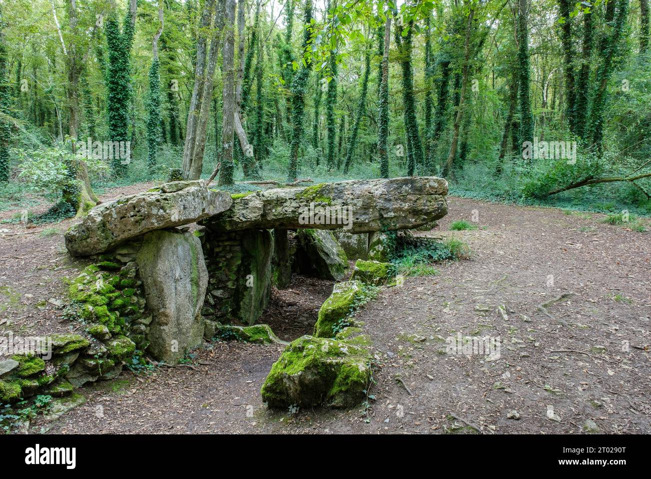 The Dampsmesnil megalith is a covered vestibule dating of the neolithic ...