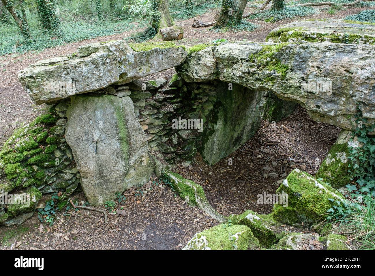 The Dampsmesnil megalith is a covered vestibule dating of the neolithic ...