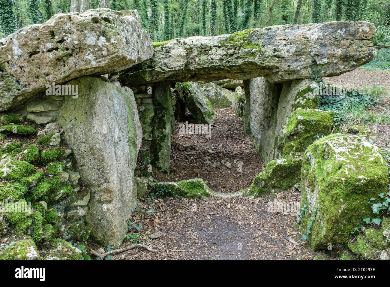 The Dampsmesnil megalith is a covered vestibule dating of the neolithic ...