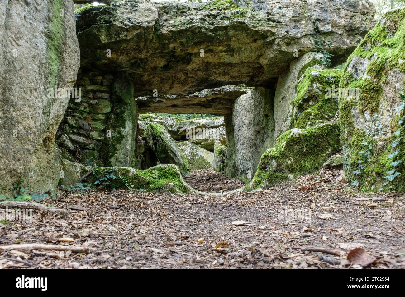 The Dampsmesnil megalith is a covered vestibule dating of the neolithic ...
