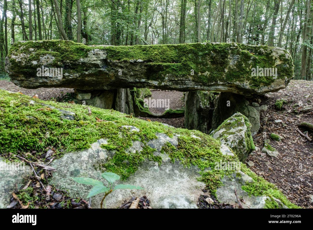 The Dampsmesnil megalith is a covered vestibule dating of the neolithic ...