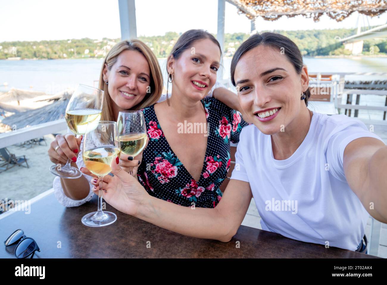 Girlfriends drinking wine hi-res stock photography and images - Alamy
