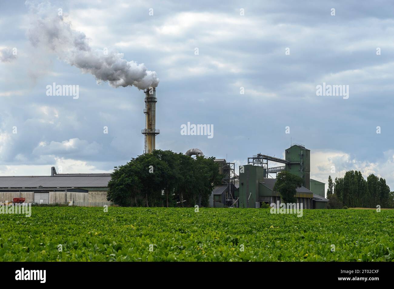Deshydrater hi-res stock photography and images - Alamy