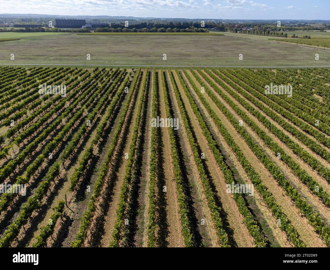 Charentais distillation hi-res stock photography and images - Alamy