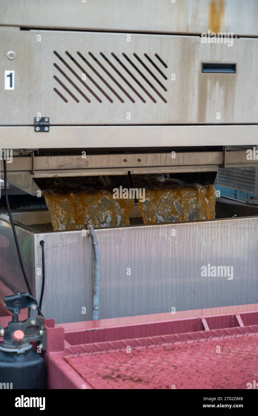 Works at distillery. Harvest time in Cognac white wine region, Charente ...