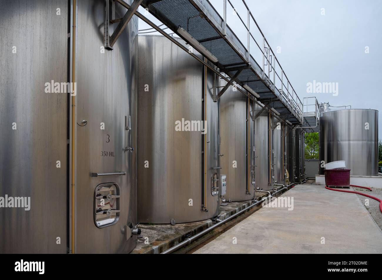 Works at distillery, first fermentation. Harvest time in Cognac white ...