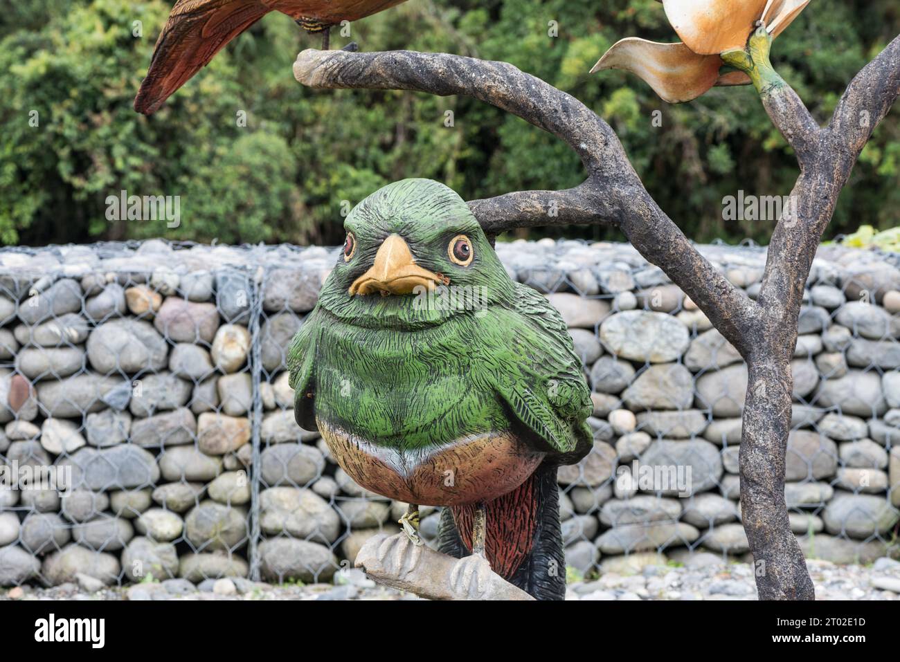 Cosanga ecuador bird hi-res stock photography and images - Alamy