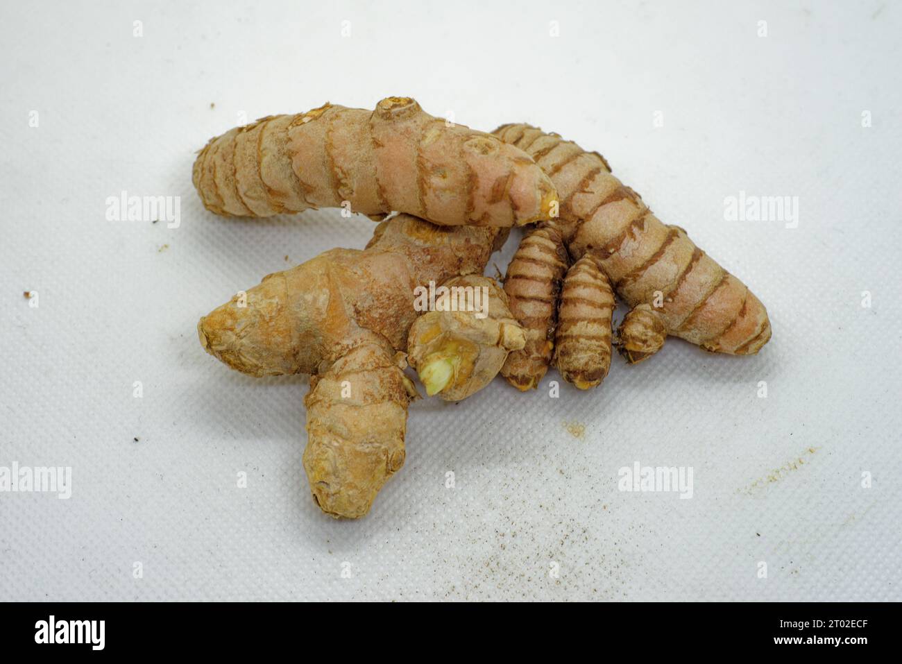 Food, cropped detail shot: Several roots of turmeric in front of a ...