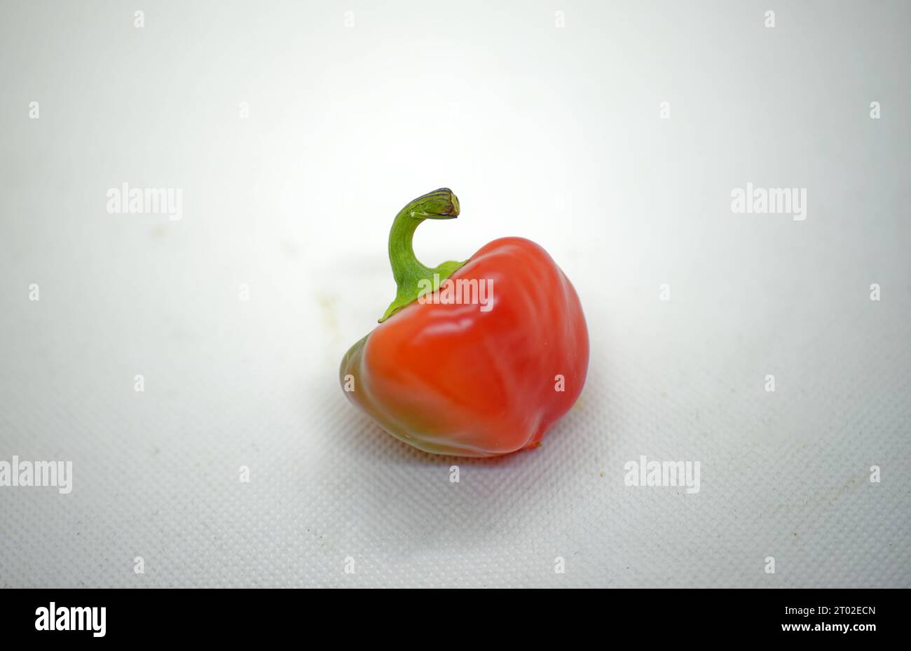 Food, isolated detail shot: ripening red peppers against a white ...