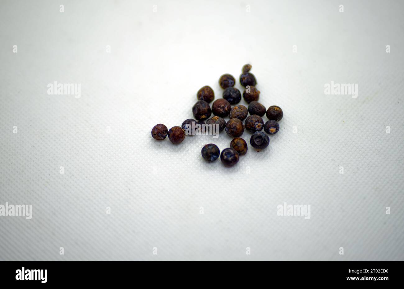Food, isolated detail shot: several juniper berries in front of a white ...