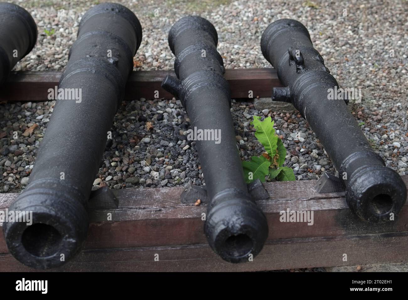 Three old cast iron cannon barrels Stock Photo - Alamy