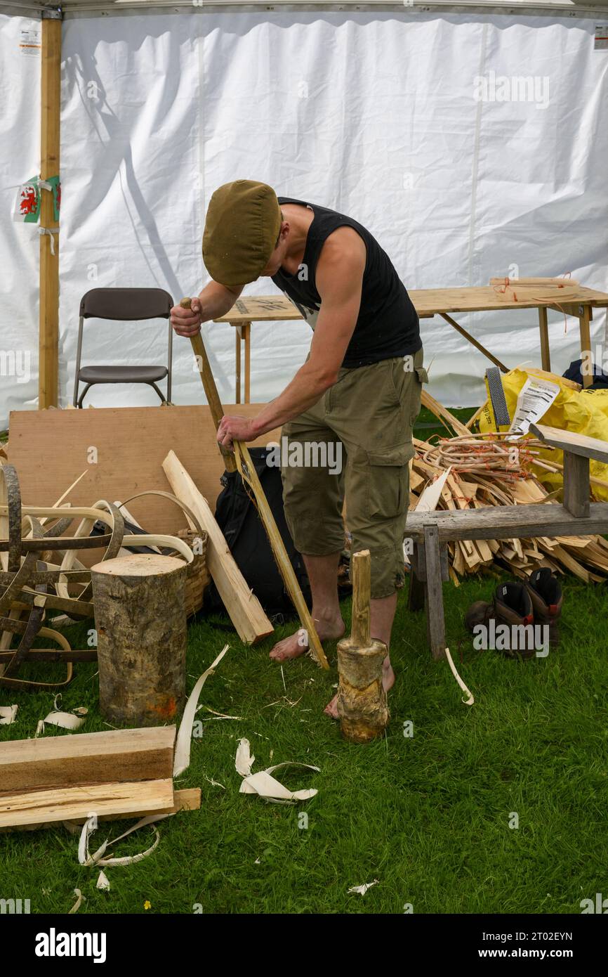 Male demonstrating trug-making craft (skilled handmade woodwork ...