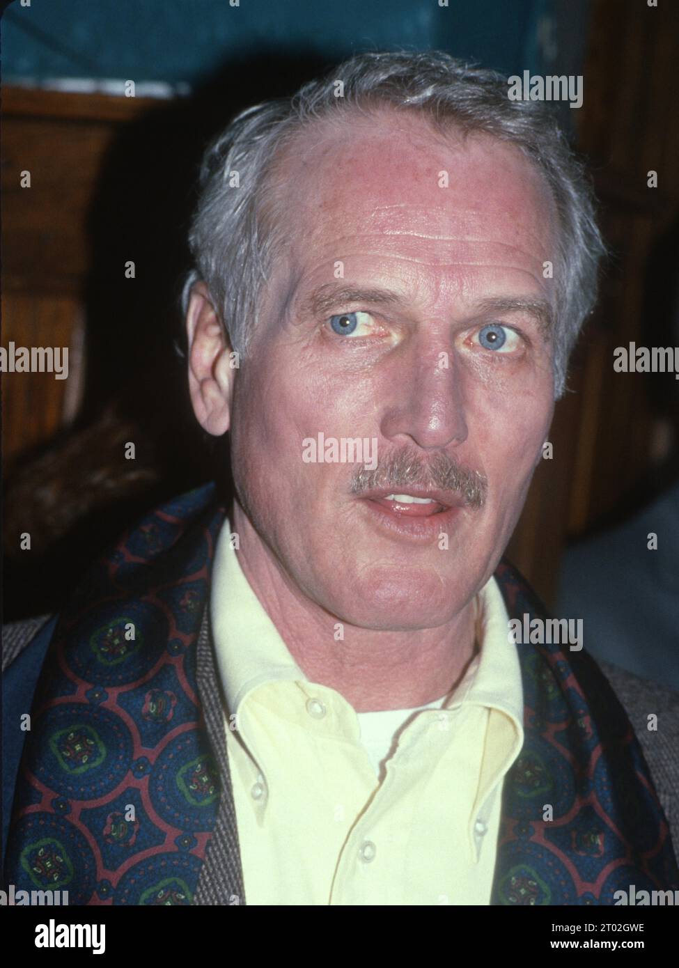 1986 Paul Newman John Barrett/PHOTOlink.net Stock Photo - Alamy
