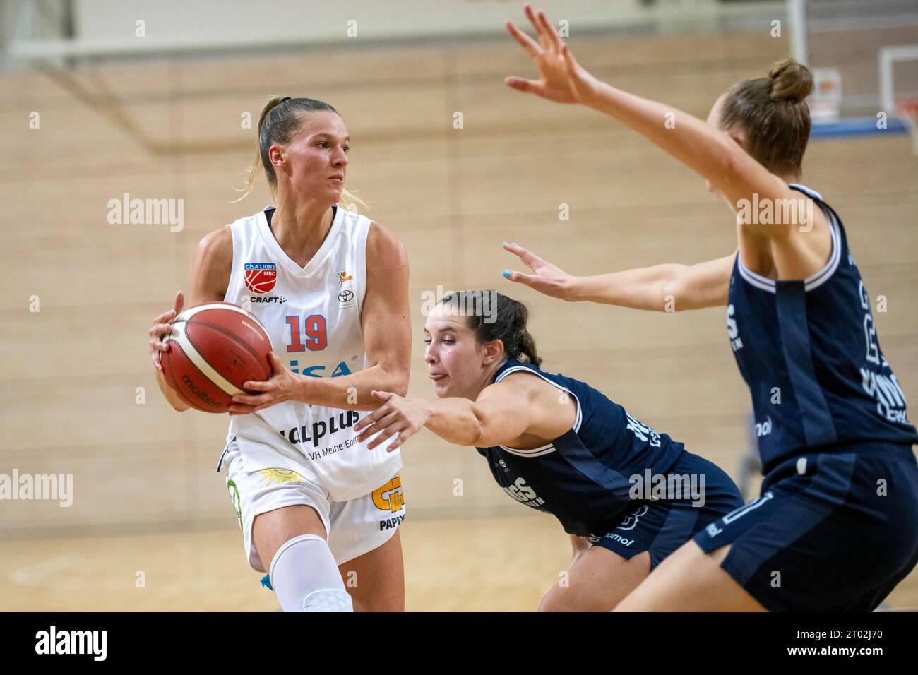 Halle, Deutschland. 03rd Oct, 2023. Halle, Deutschland 03. Oktober 2023 ...