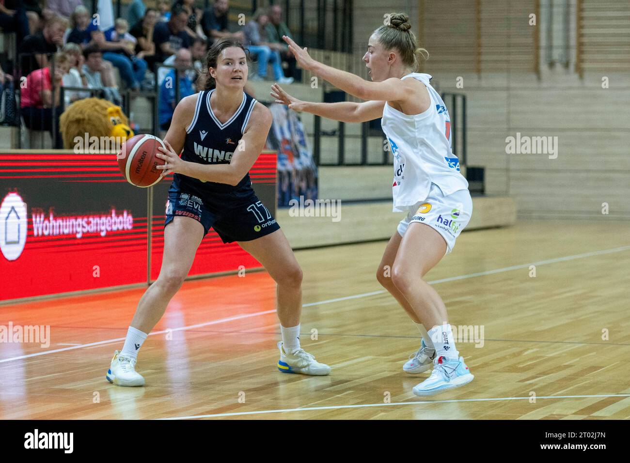 Halle, Deutschland. 03rd Oct, 2023. Halle, Deutschland 03. Oktober 2023 ...