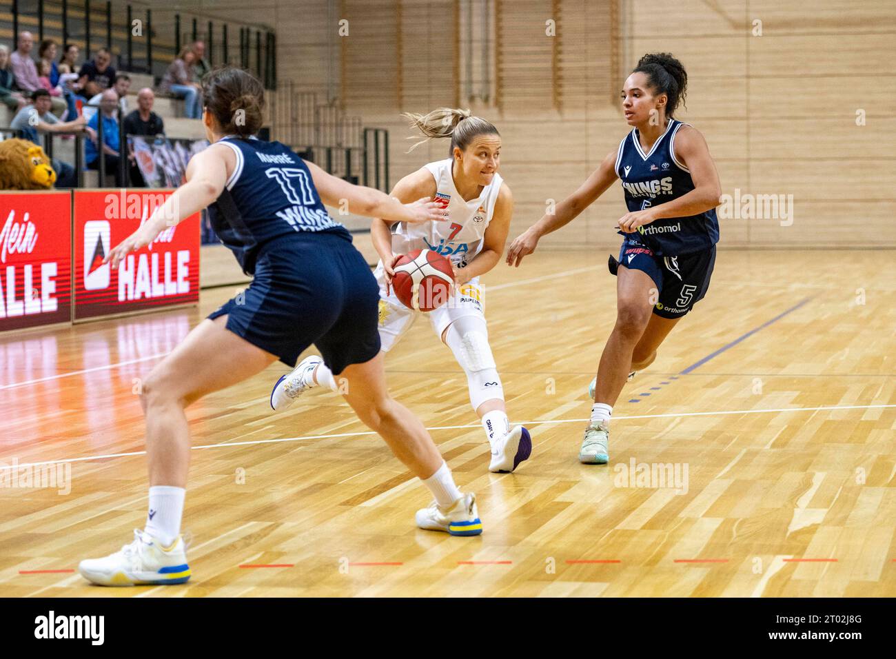 Halle, Deutschland. 03rd Oct, 2023. Halle, Deutschland 03. Oktober 2023 ...