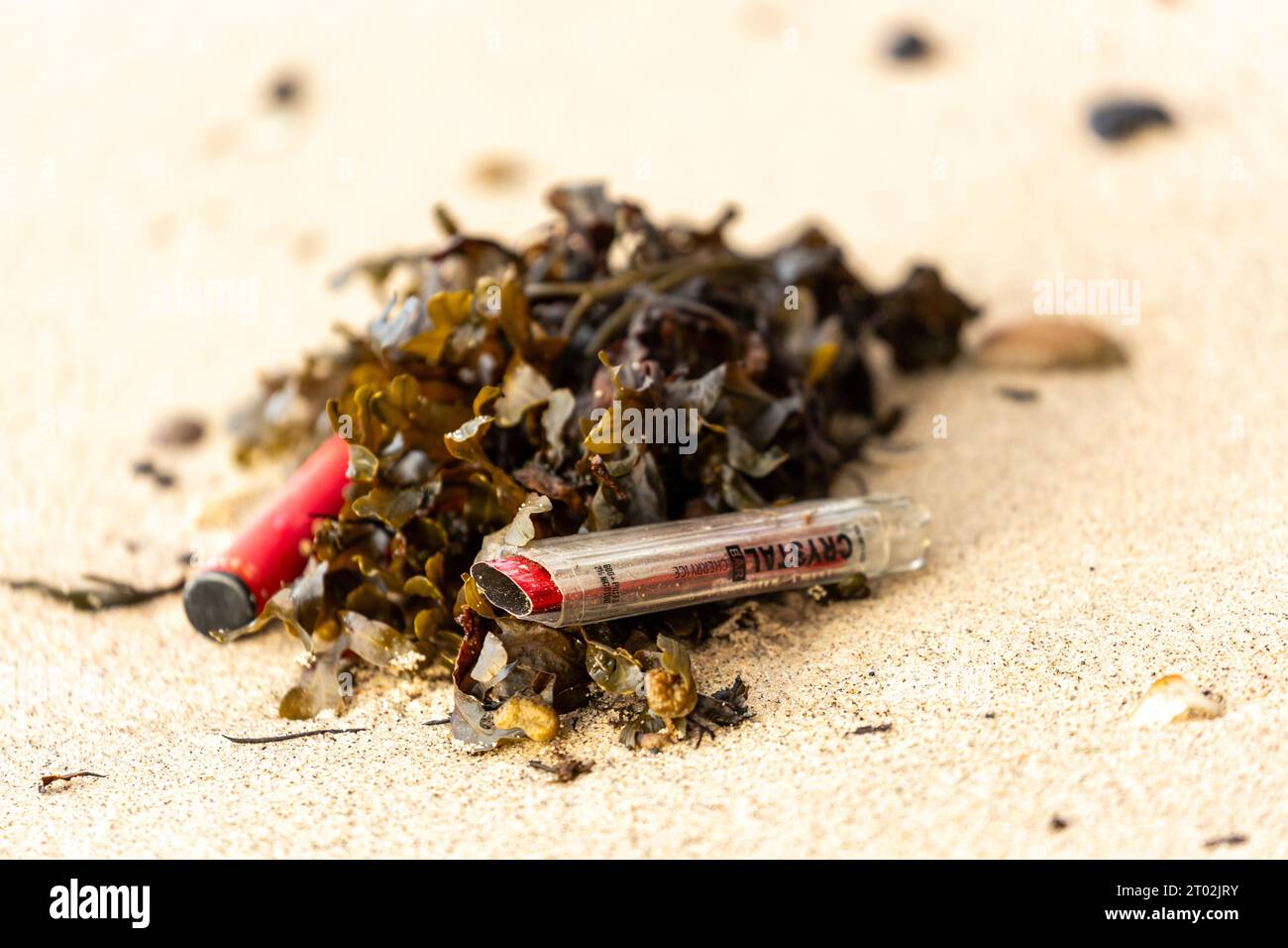 Single use disposable vapes lying discarded on a beach Stock Photo - Alamy