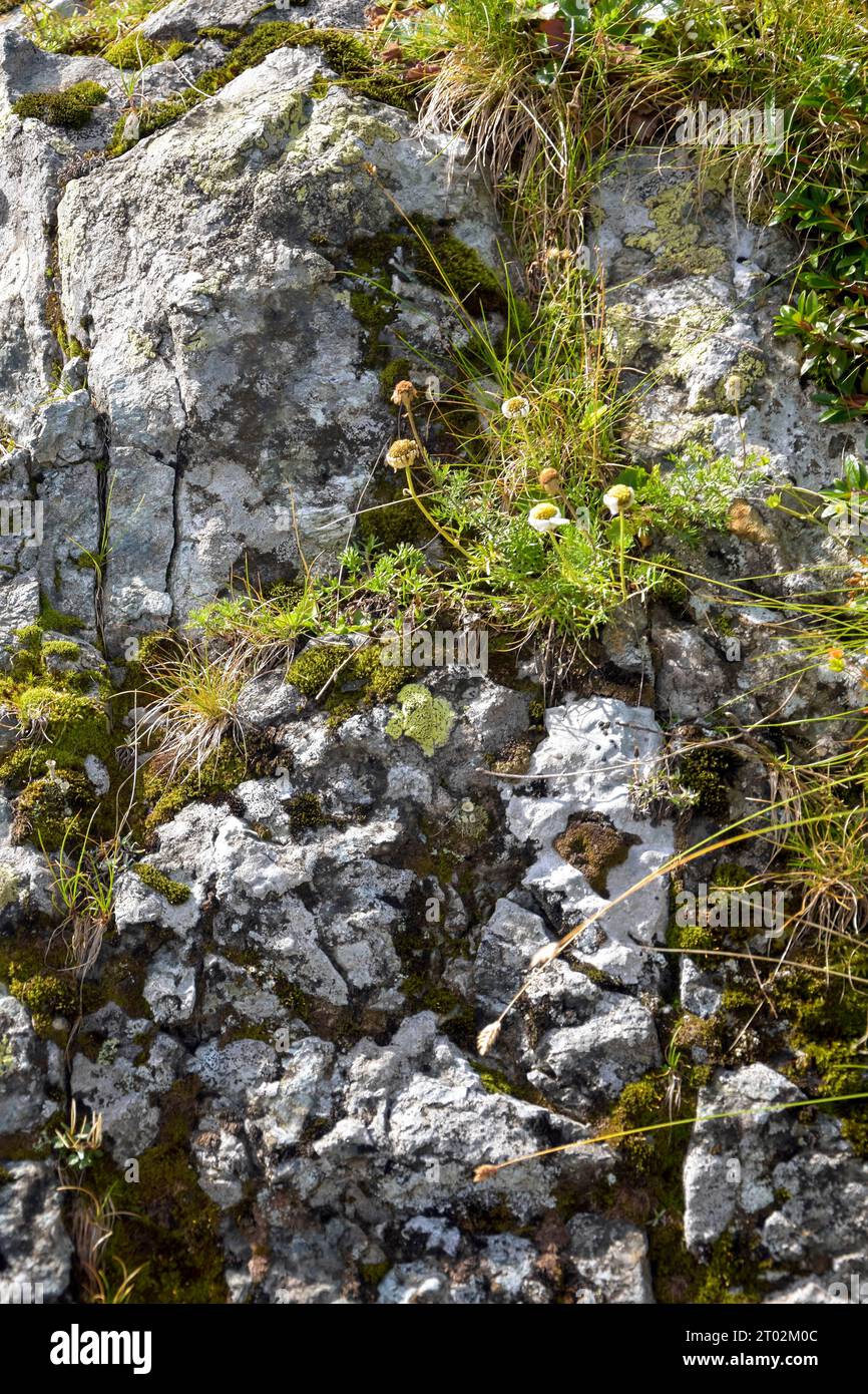 Background of coarse stone rocks, full frame. Rough stone texture of ...