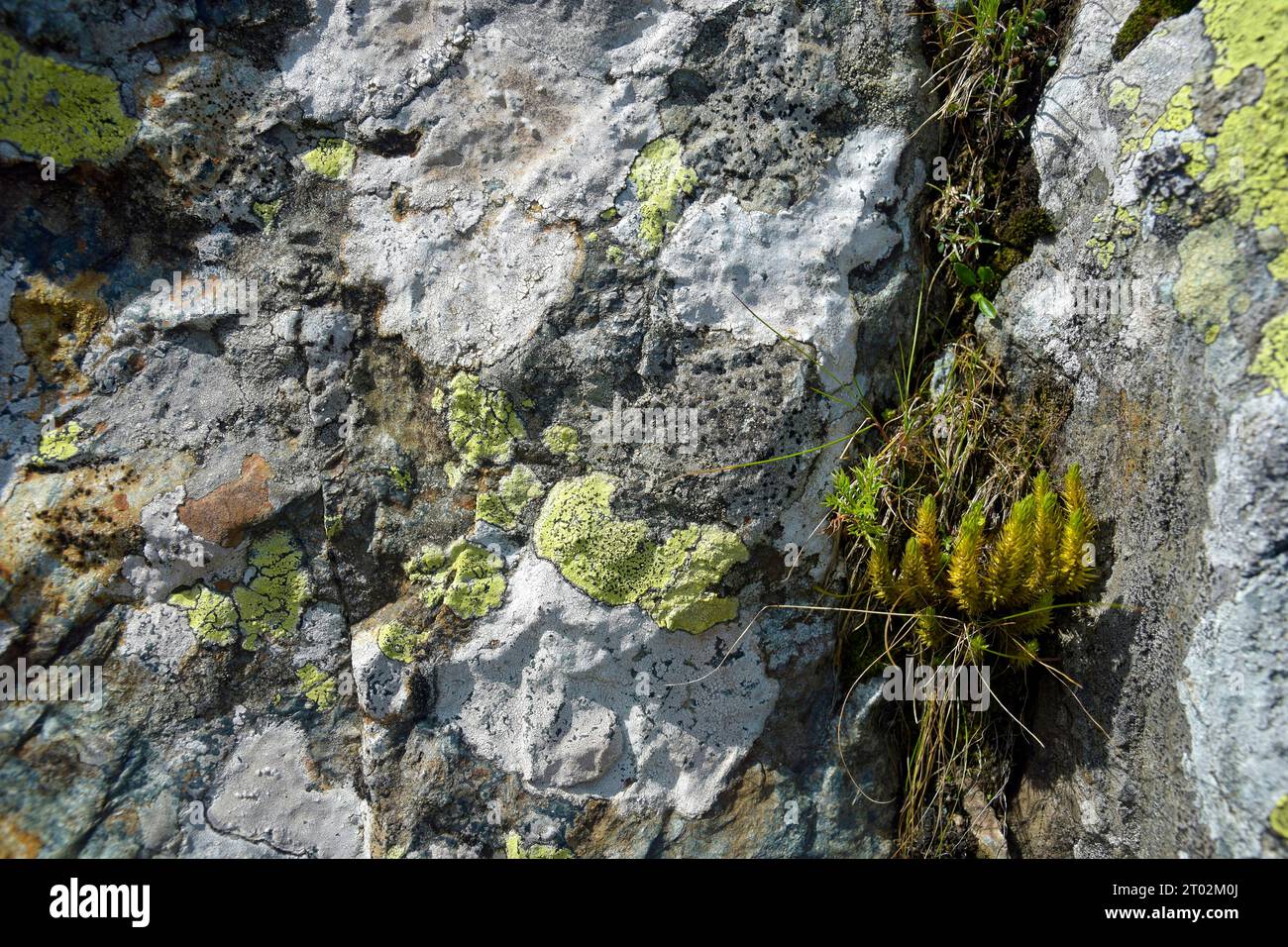 Background of coarse stone rocks, full frame. Rough stone texture of ...